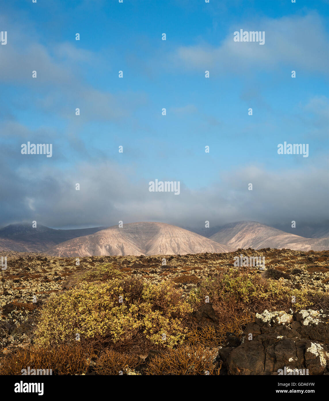 View from Malpais de la Corona towards the Famara Cliff. near Orzola ...