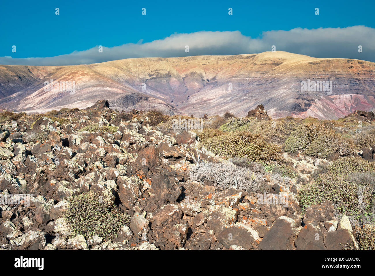 View from the Malpais de la Corona towards the Famara Cliff. near ...