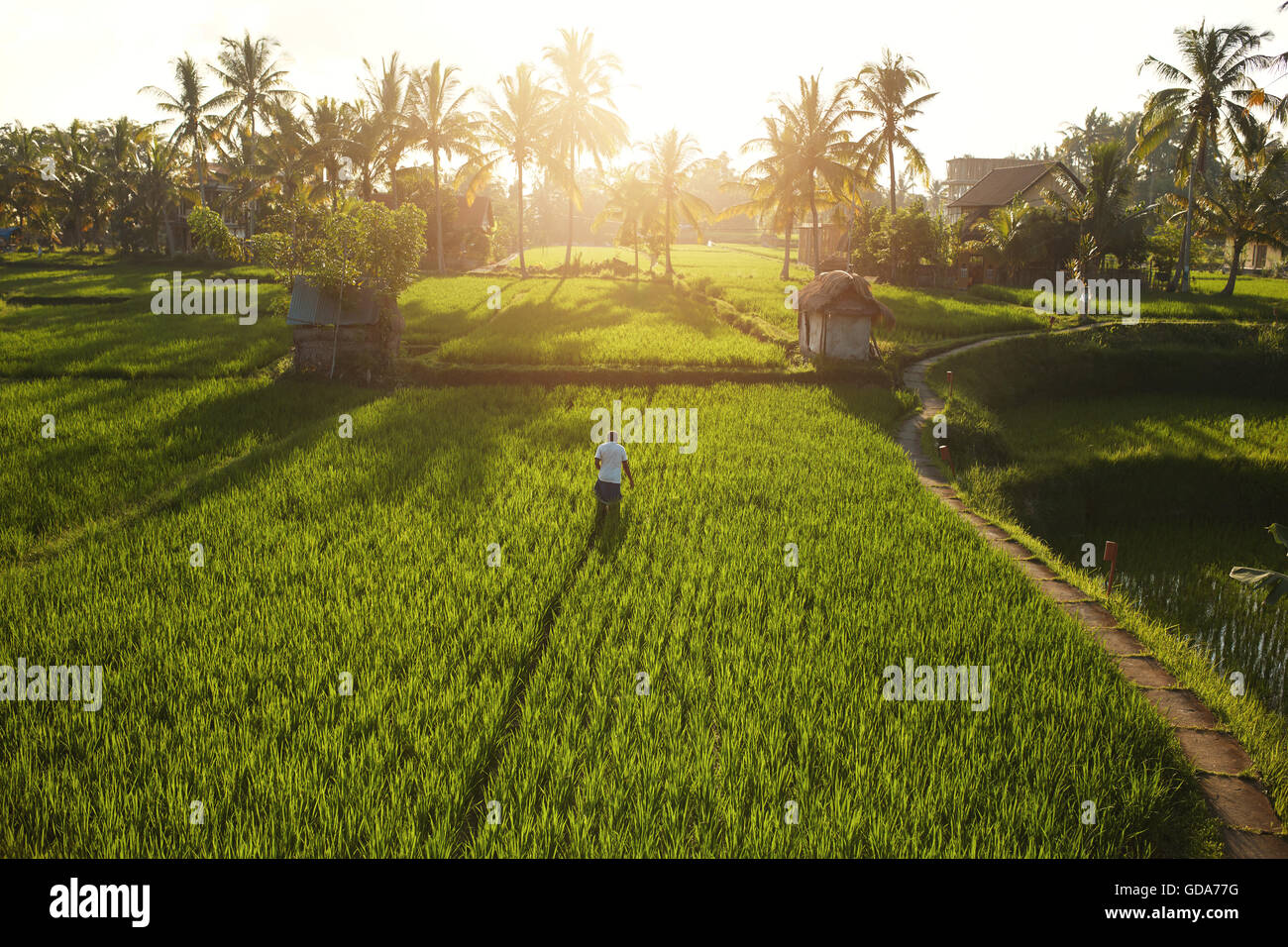 Bright sunny farm view hi-res stock photography and images - Alamy