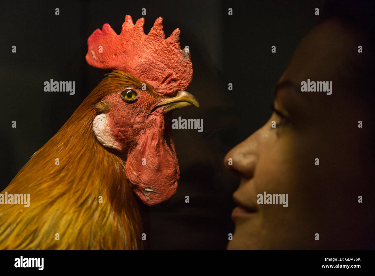 London, UK. 13 July 2016. A curator takes a close look at a colourful ...