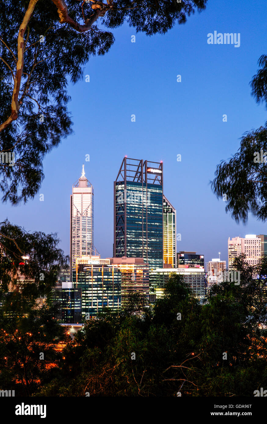 The view of Perth's CBD from Kings Park and Botanical Gardens Stock ...