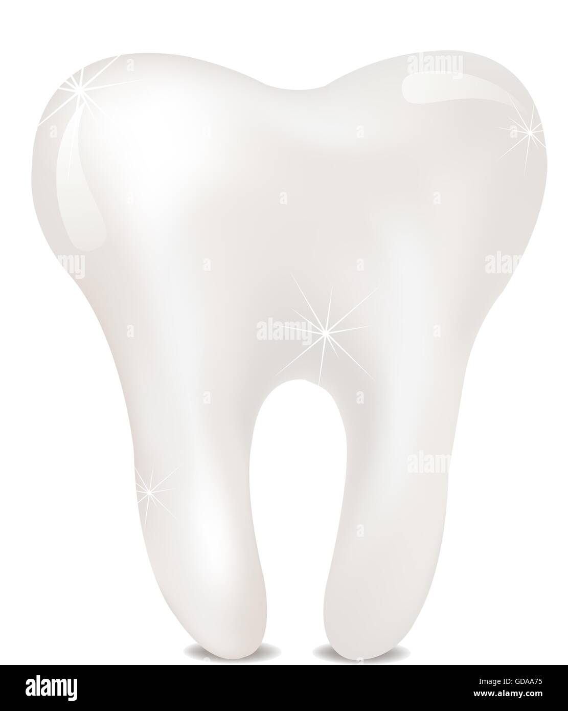 Tooth on a white background. isolated Stock Vector Image & Art - Alamy