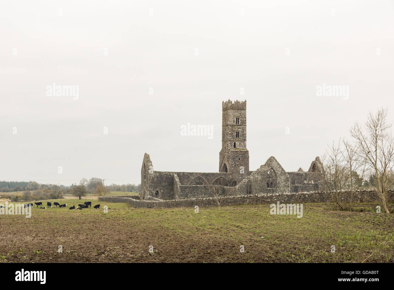 Ireland, Offaly, Clonmacnoise, Clonmacnoise, Clonmacnoise is a unique ...