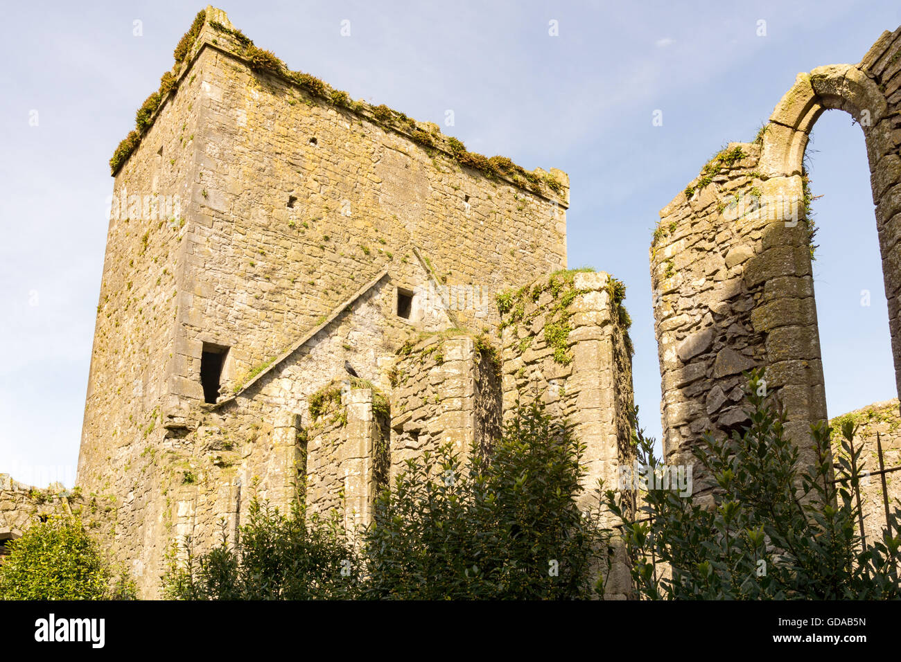 Ireland, Tipperary, Cashel, Rock of Cashel, castle ruin under blue sky ...