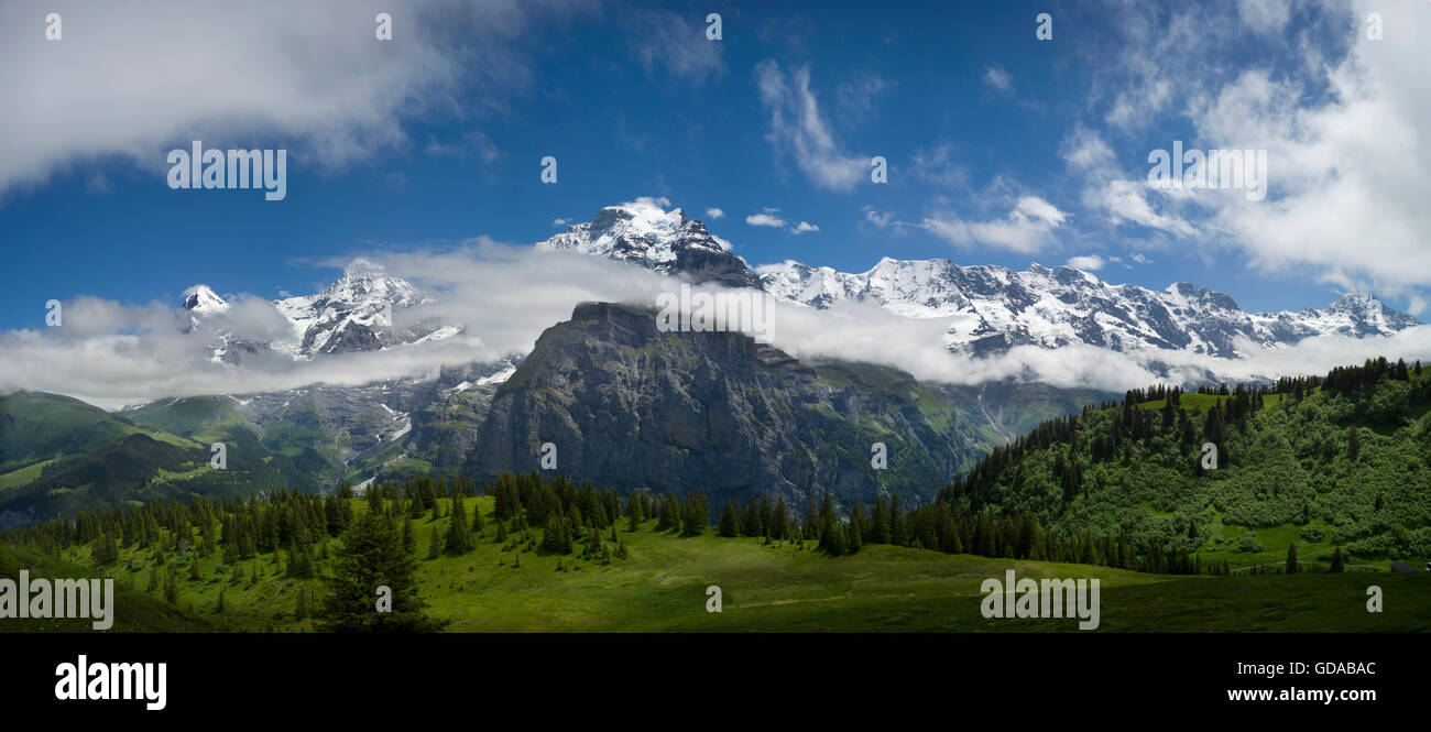 Switzerland. Bernese Oberland. July 2016 Walking in the Swiss Alps ...