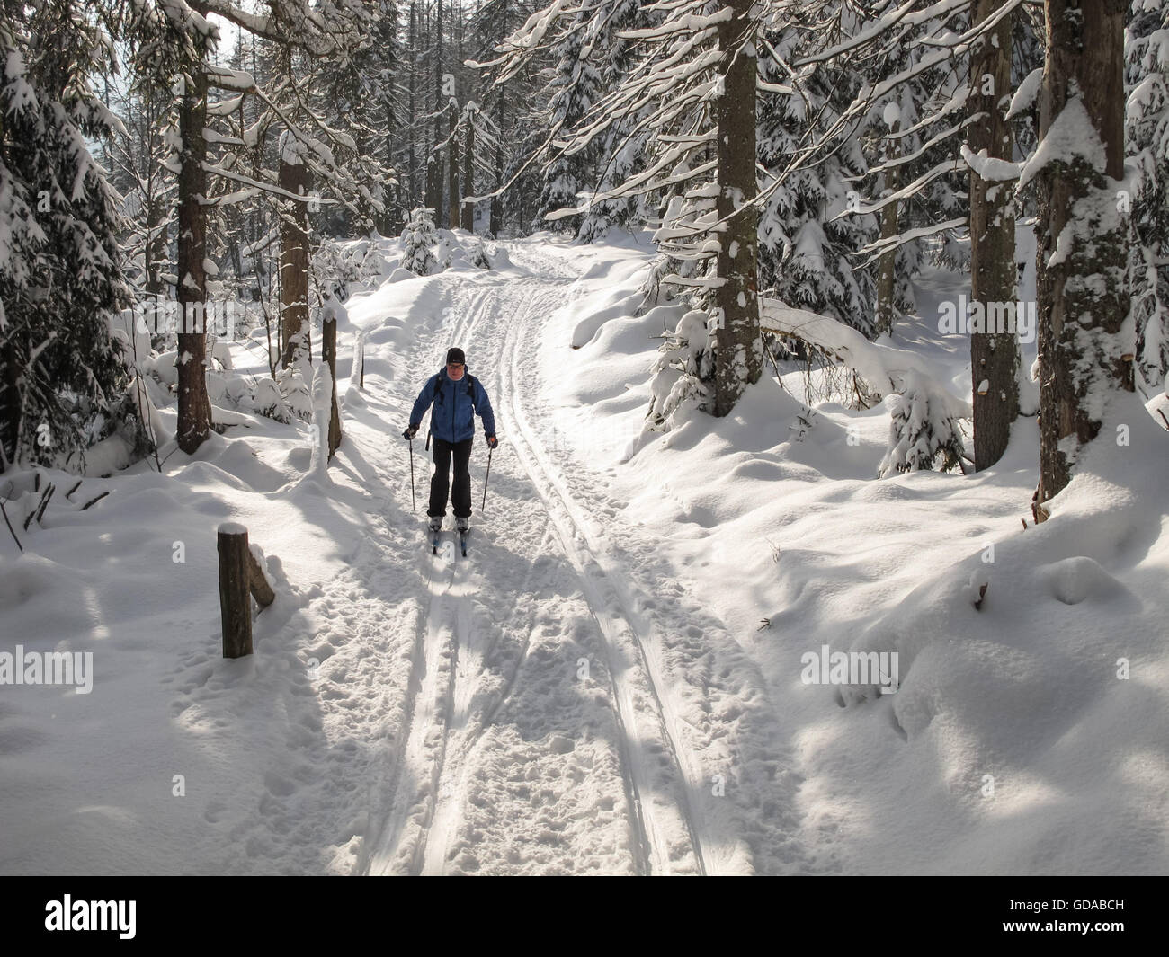Depth of snow poles hi-res stock photography and images - Alamy