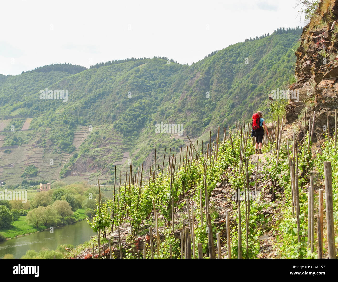 Calmont klettersteig bremm hi-res stock photography and images - Alamy