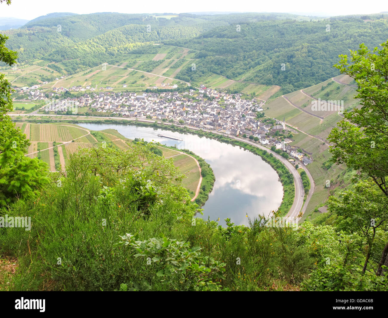 Germany, Rhineland-Palatinate, Bremm, On the Mosel steep path, Bremm ...