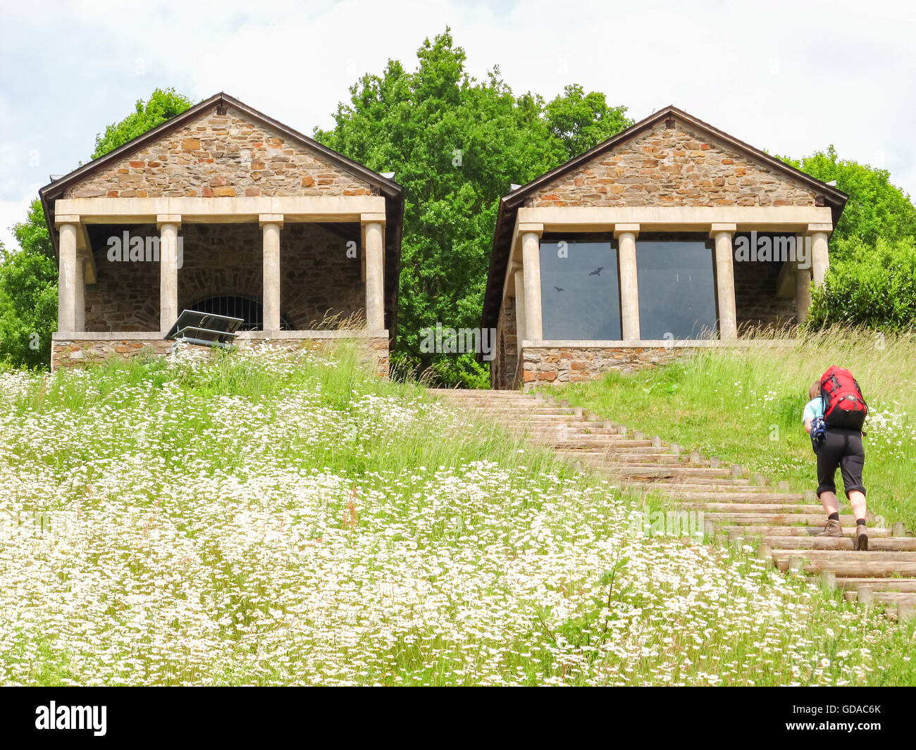 Germany, Rhineland-Palatinate, Mesenich, On the Mosel steep path, hiker ...