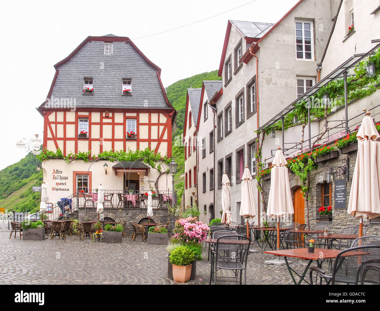 Germany, Rhineland-Palatinate, Beilstein, On the Mosel steep path ...