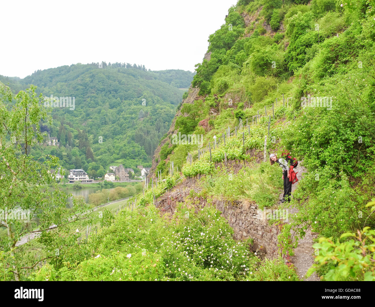Tortuous path hi-res stock photography and images - Alamy