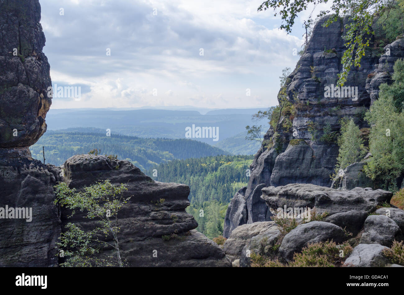 Germany, Saxony, Saxon Switzerland, view of forests between rocks, hike ...