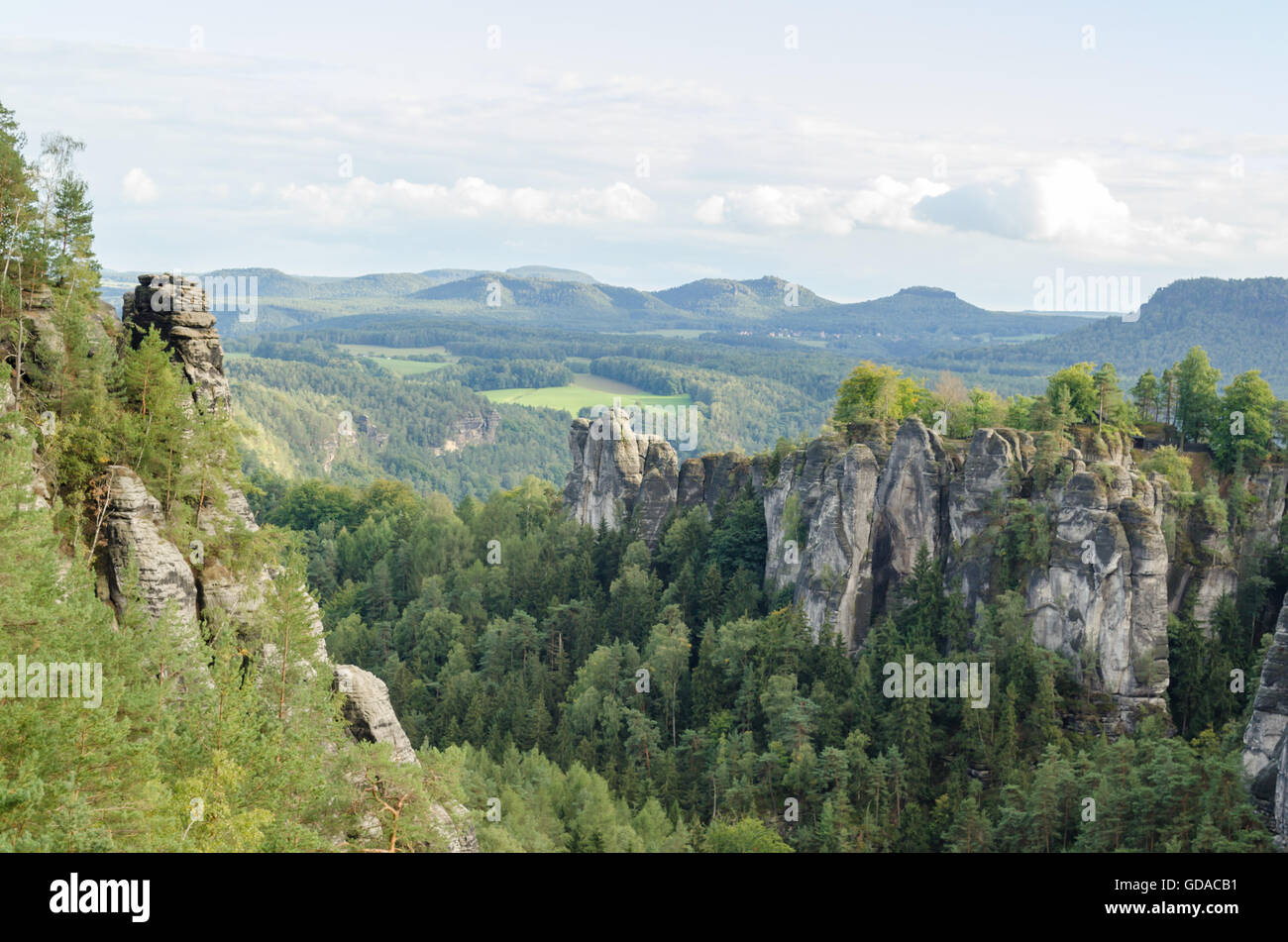 Germany, Saxony, Saxon Switzerland, rocks between pine forests, hike ...
