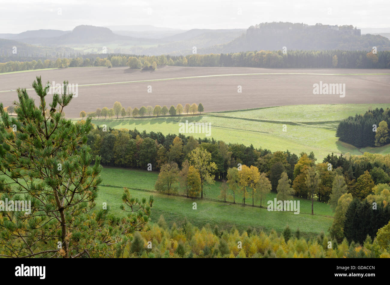 Germany, Saxony, Saxon Switzerland, hike from Wehlen over the ...