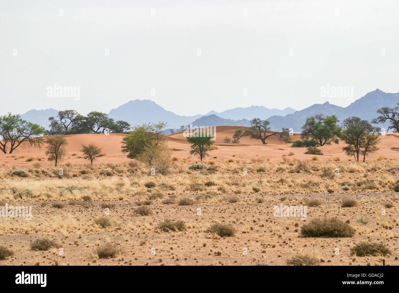 Namibia, Hardap, desert, landscape in the region Hardap Stock Photo - Alamy