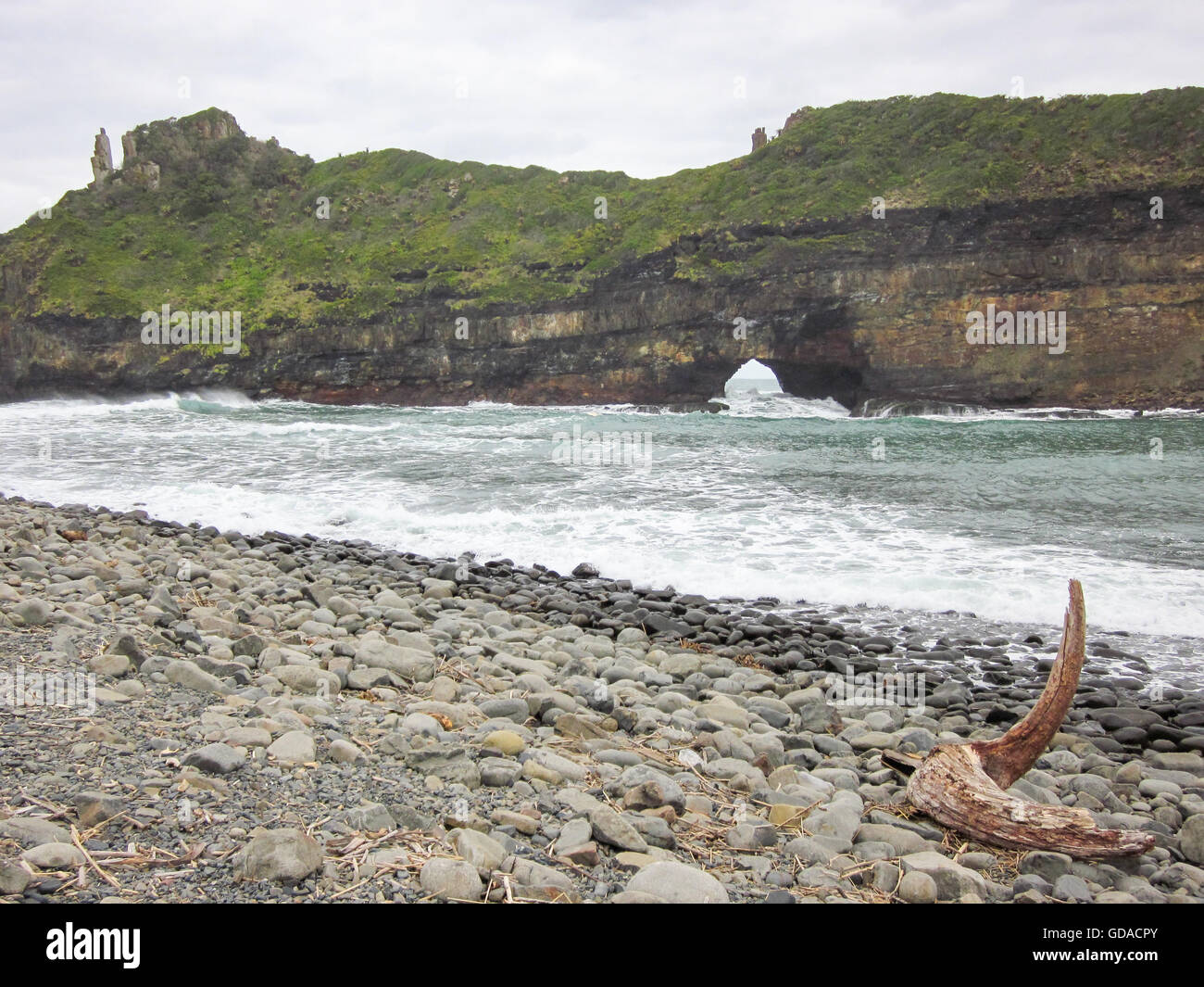 South Africa, East Cape, Mgxotyeni, Wild Coast Beach, On the Wild Coast ...