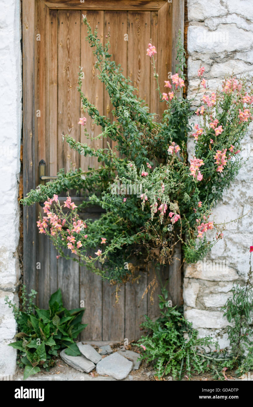 Makedonia thraki hi-res stock photography and images - Alamy