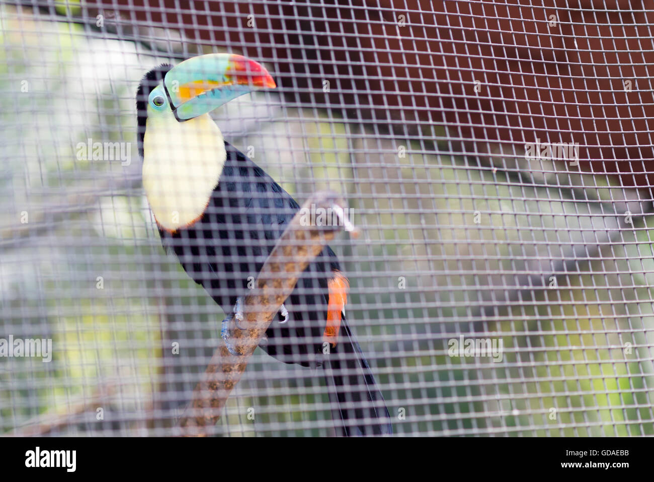 Parque zoologico nacional hi-res stock photography and images - Alamy