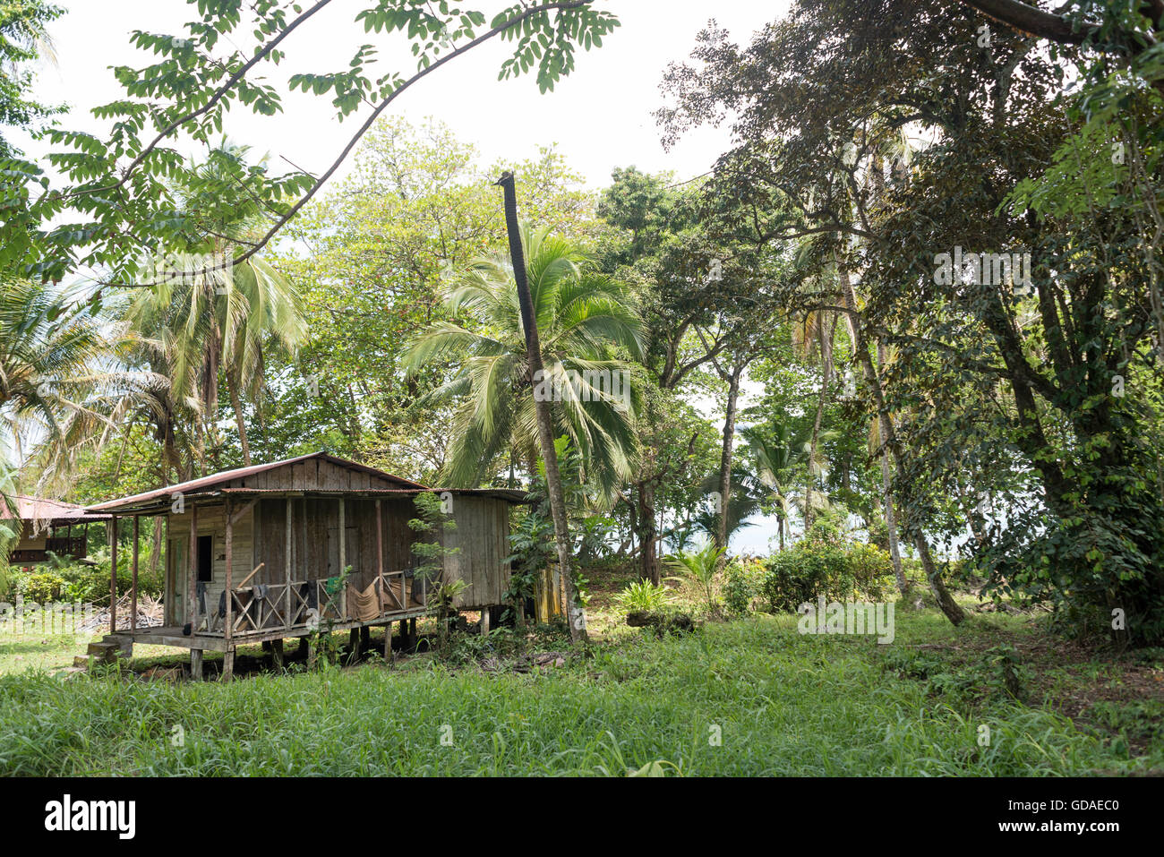 Costa Rica, Limon, Cahuita, Lonely wooden hut on the beach (Playa Negra ...