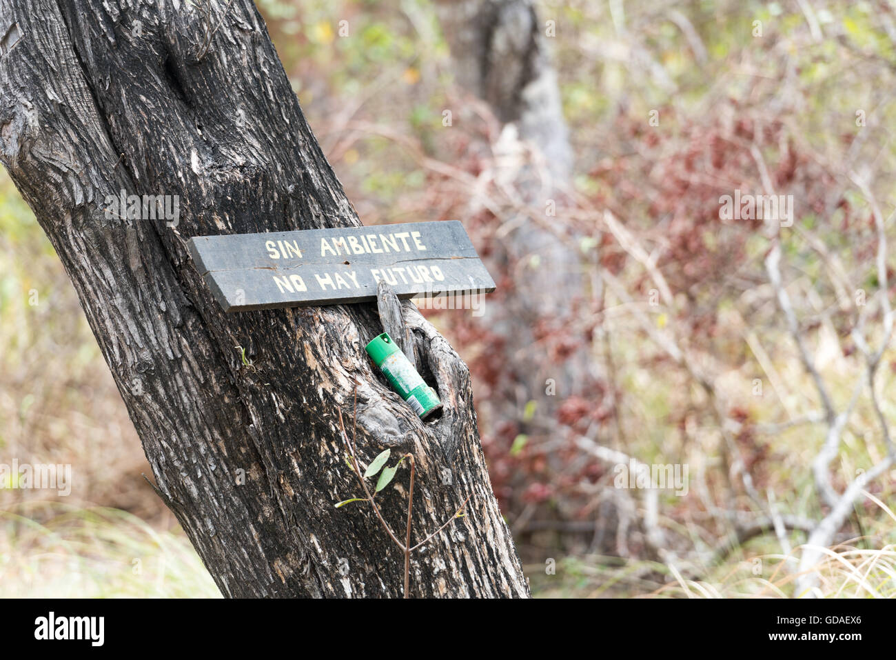 Costa Rica, Guanacaste, Playa Junquillal, sign "Sin ambience no hay ...
