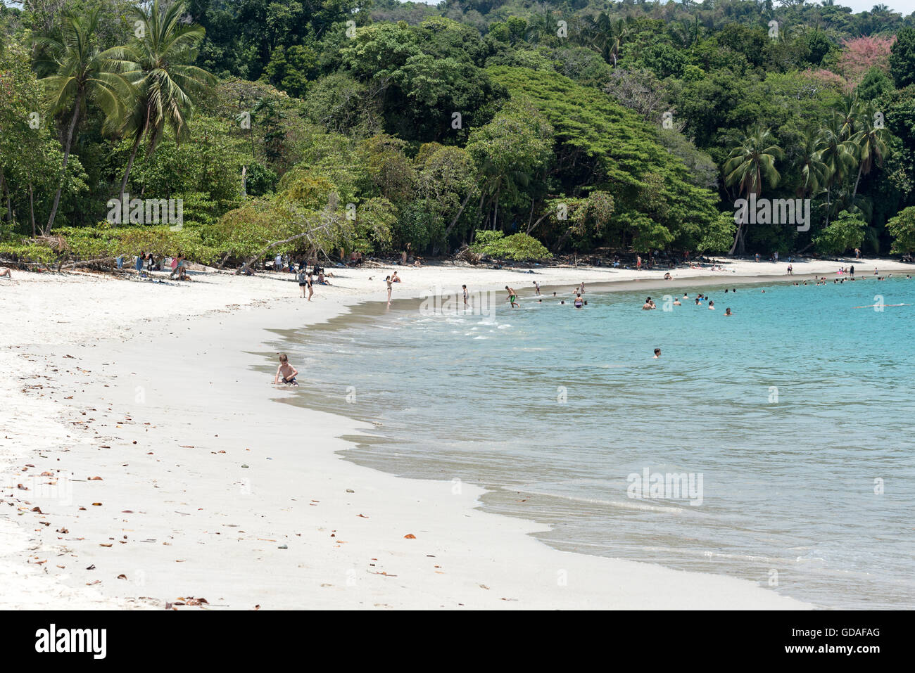 Costa Rica, Puntarenas, Quepos, Manuel Antonio National Park, On the ...