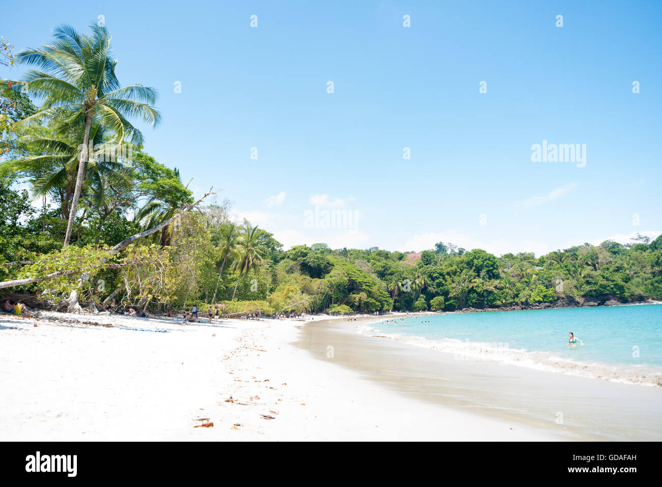 Manuel antonio national park trail hi-res stock photography and images ...