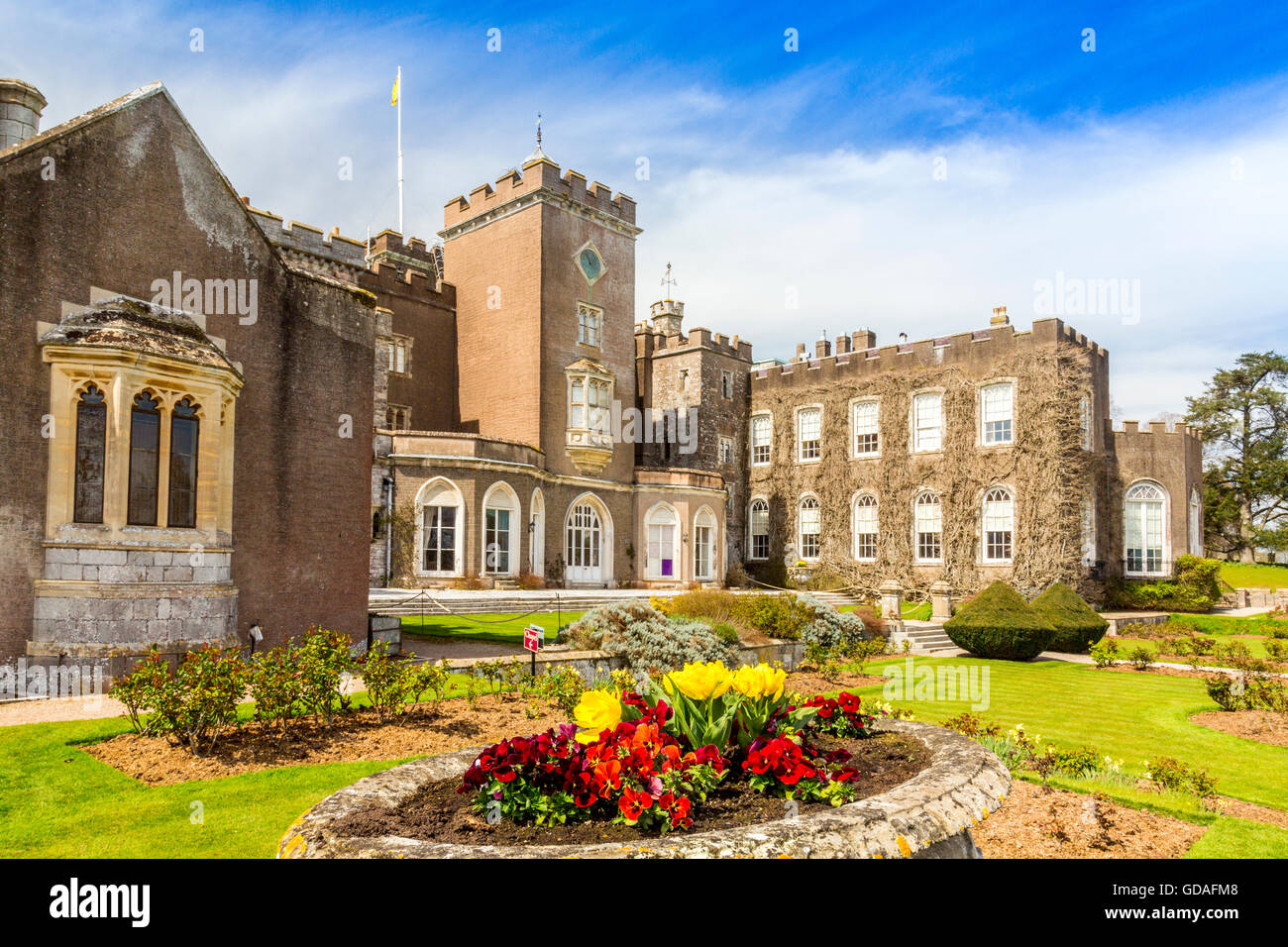 Spring flowers at Powderham Castle, home to the Earls of Devon in ...