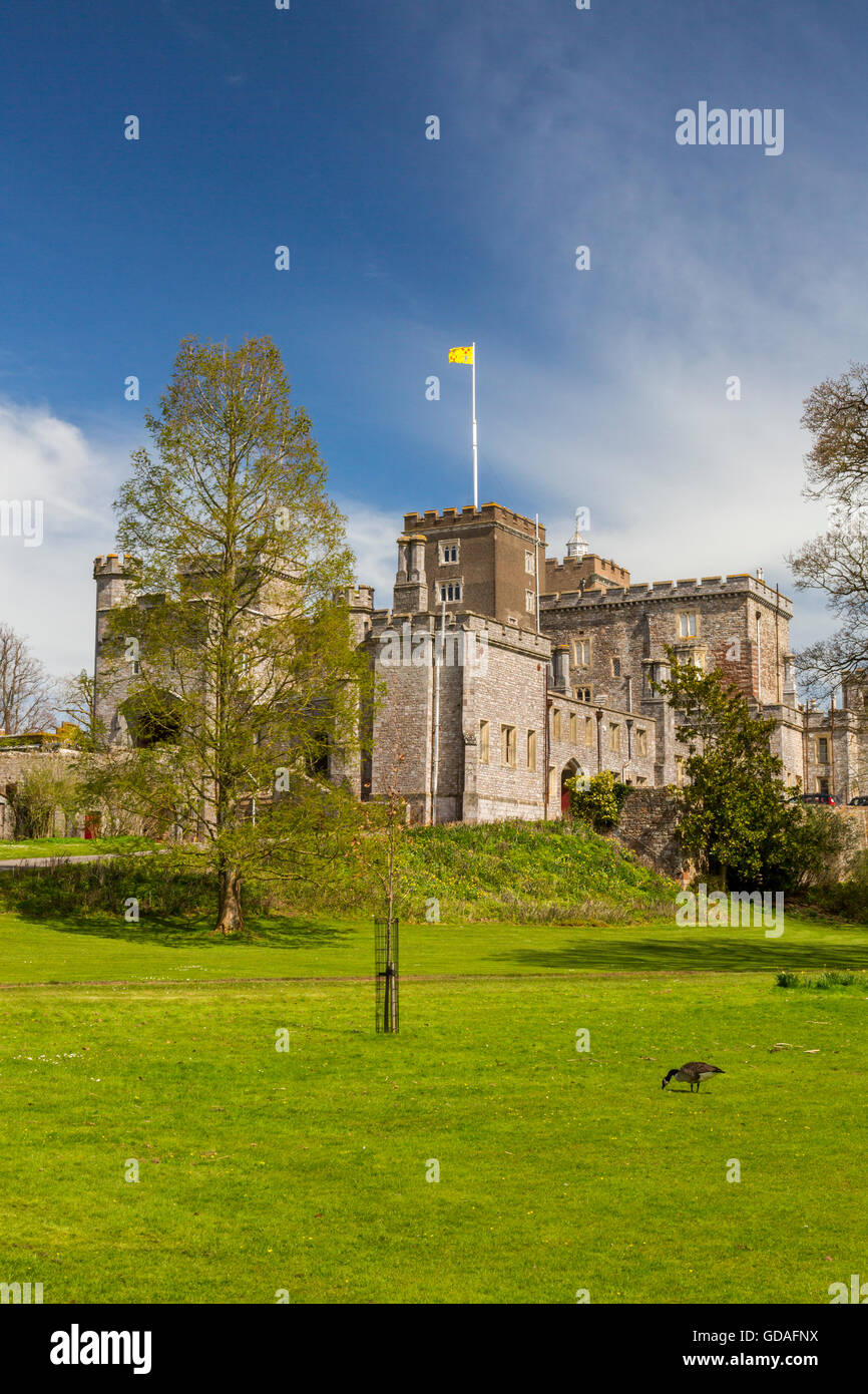Powderham castle hi-res stock photography and images - Alamy