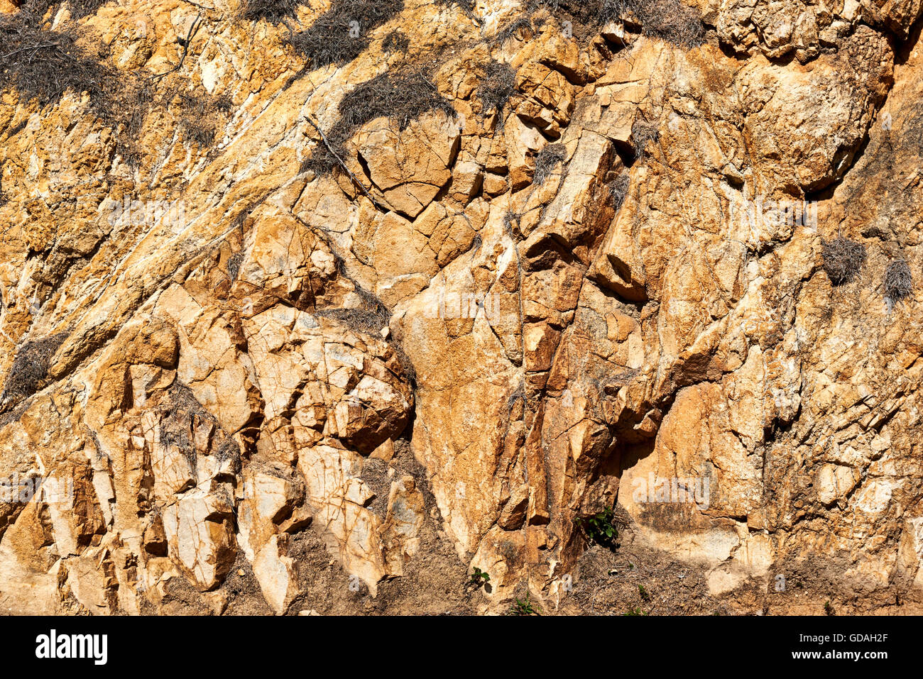 Close-up of a rock texture Stock Photo - Alamy