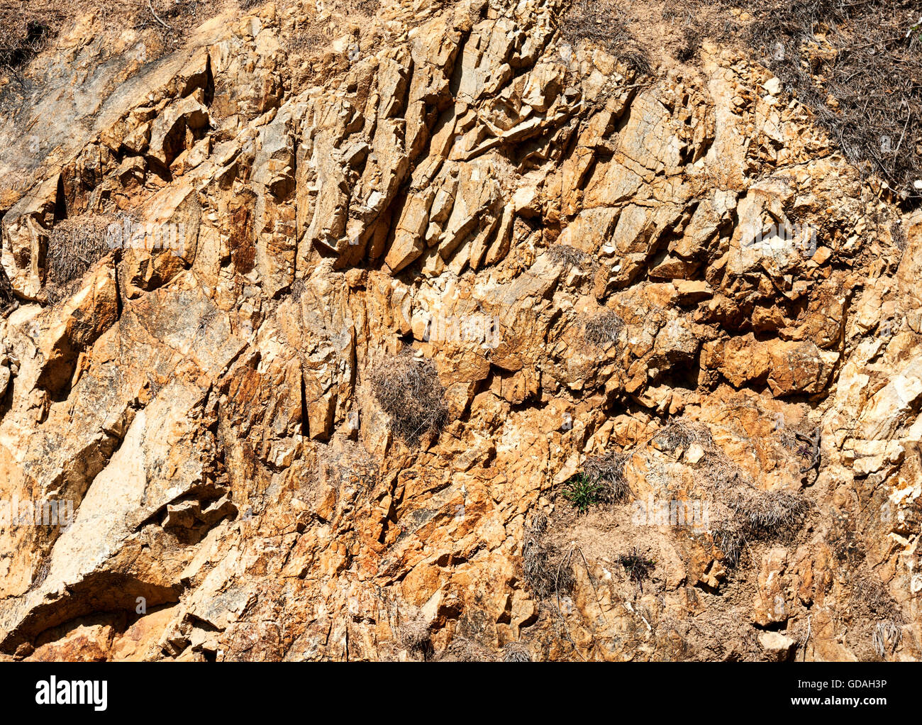 Close-up of a rock texture Stock Photo - Alamy
