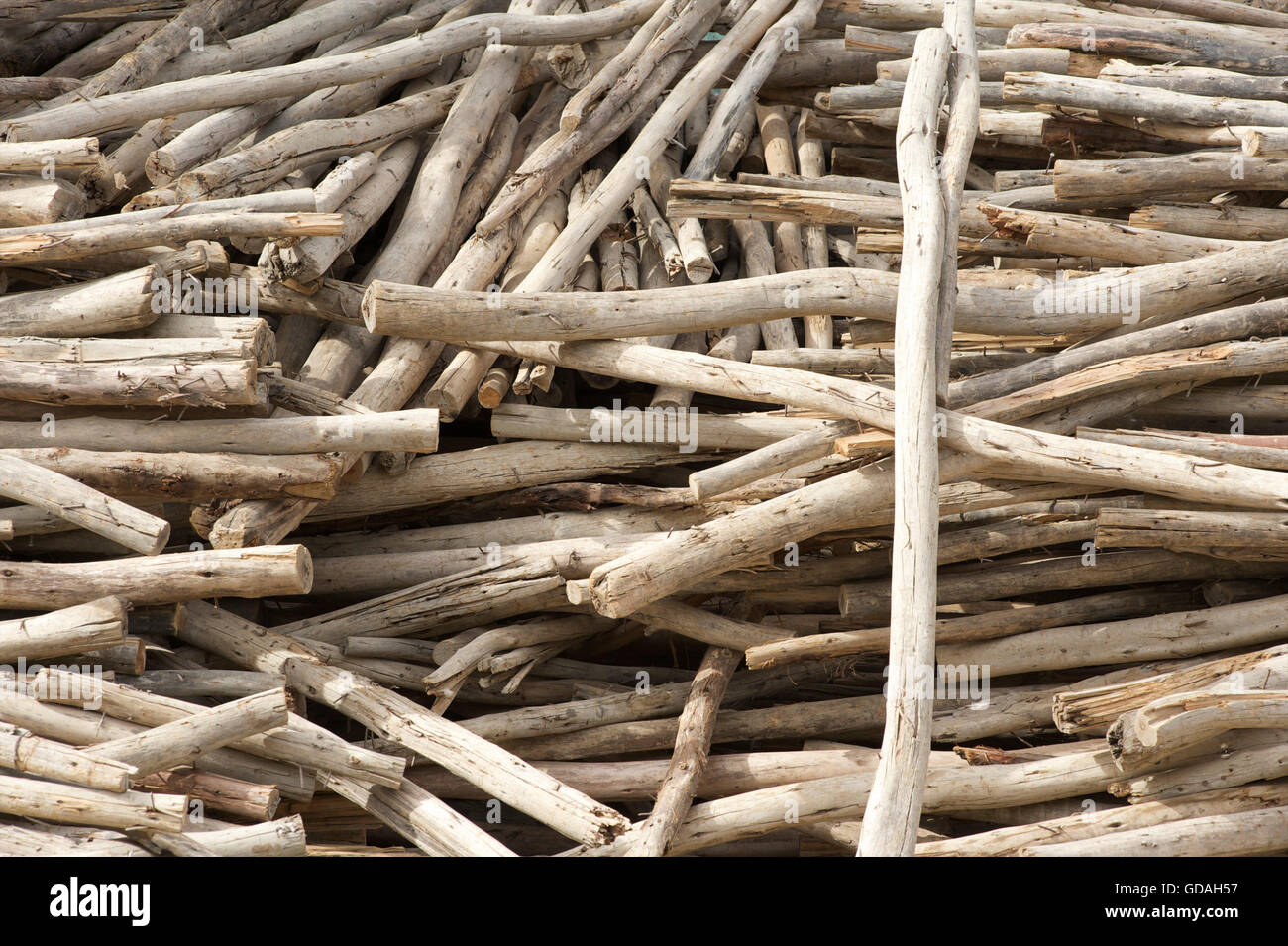 Stacks of wooden poles. Axum, Tigray, Ethiopia Stock Photo - Alamy