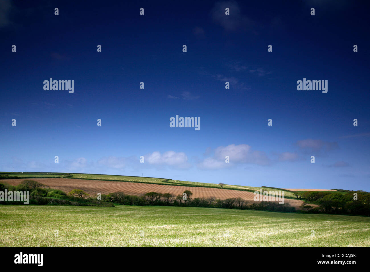Devon system hi-res stock photography and images - Alamy