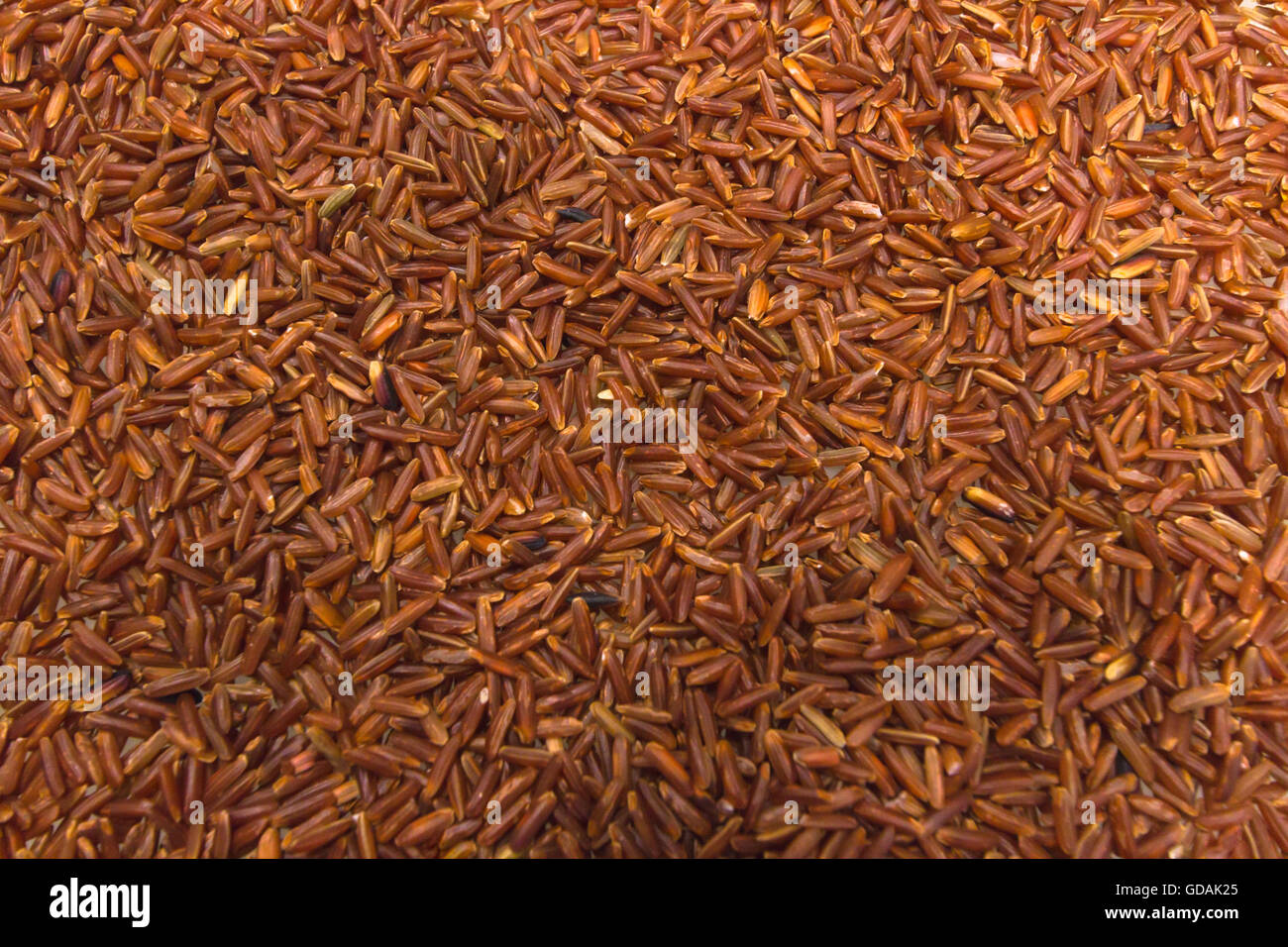 Unhulled rice grain hi-res stock photography and images - Alamy