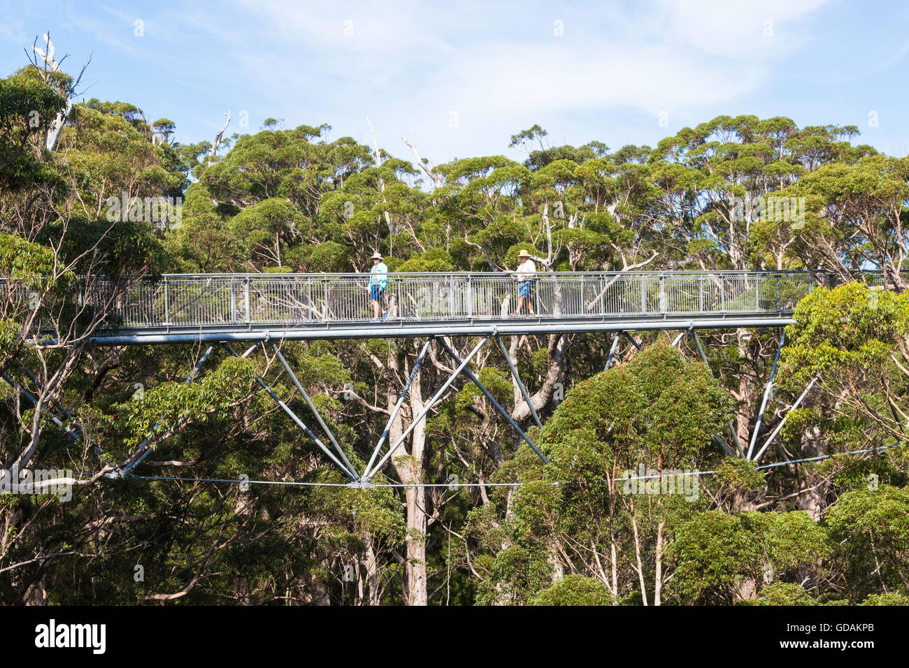 Giants tree top walk hi-res stock photography and images - Alamy