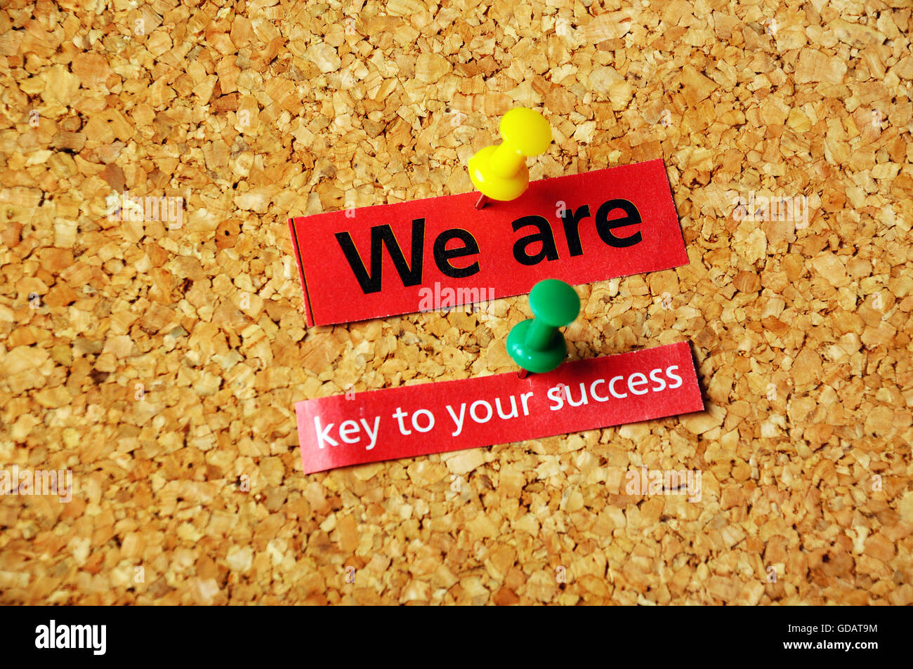 we are key to yor success pinned on corkboard Stock Photo - Alamy