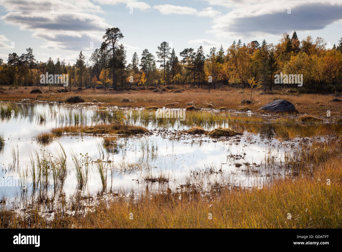 Finland scenery hi-res stock photography and images - Alamy