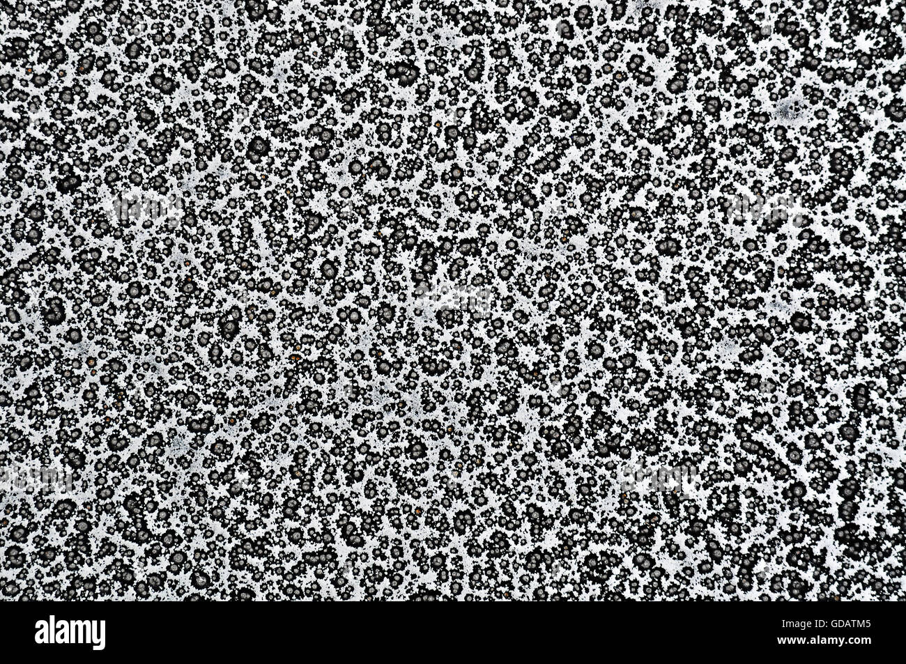 close up of metal galvanized tin surface texture Stock Photo - Alamy