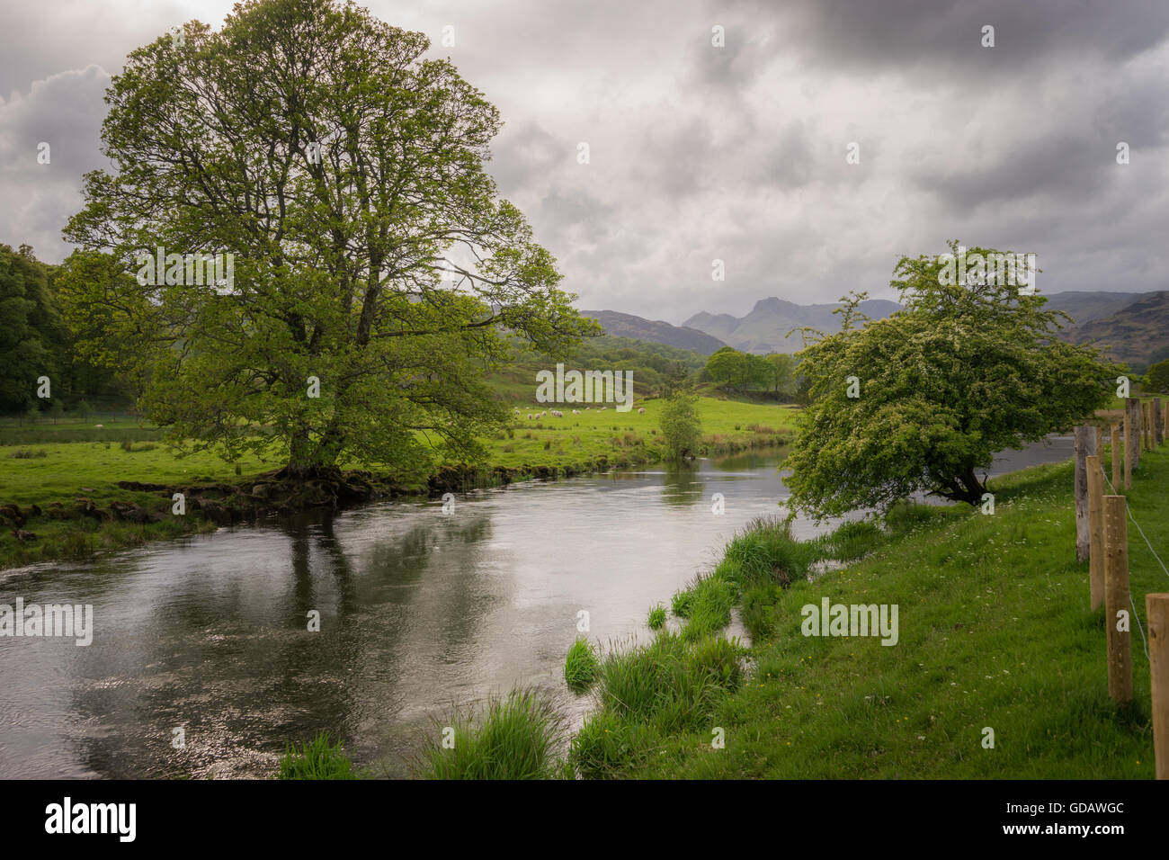Elterwater view Lake District Cumbria England Countryside Stock Photo ...