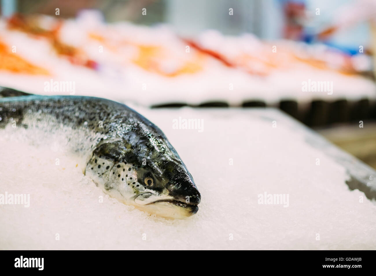 Frozen fish supermarket fridge hi-res stock photography and images - Alamy