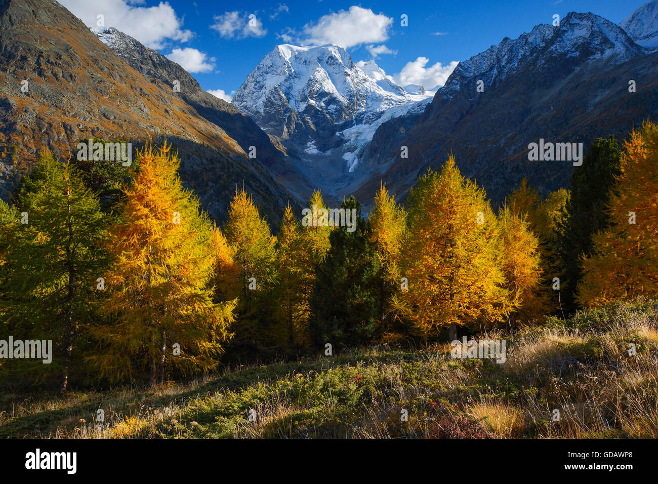Mt collon hi-res stock photography and images - Alamy