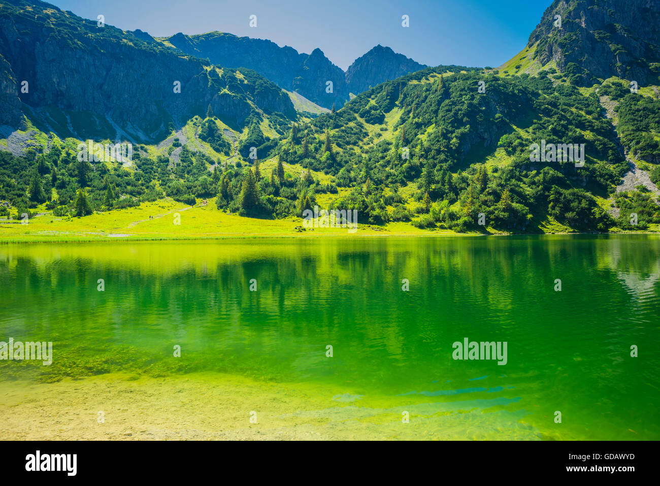Allgäu,Allgäu Alps,Alps,Bavaria,near Oberstdorf,mountain landscape ...