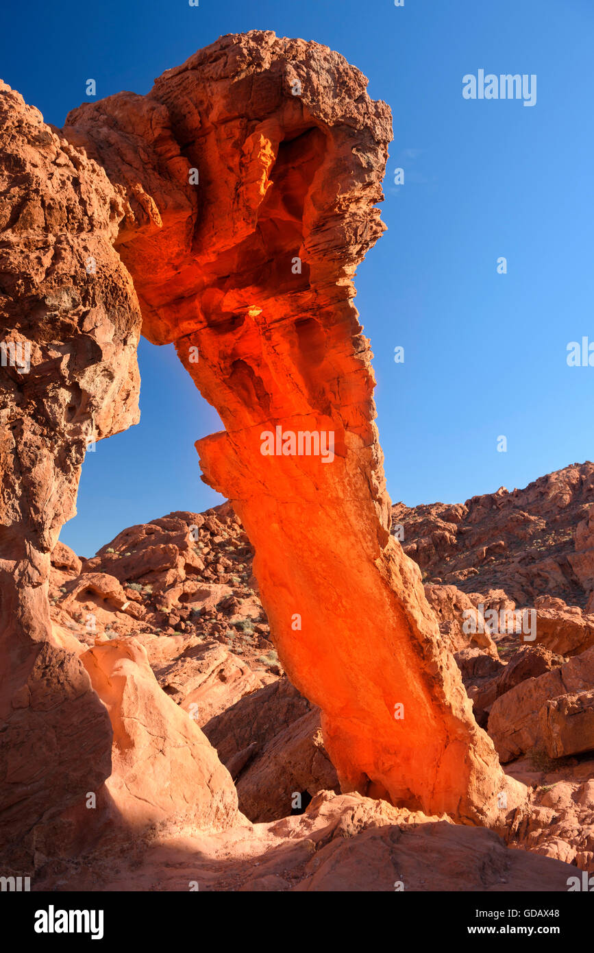 Elephant rock hi-res stock photography and images - Alamy