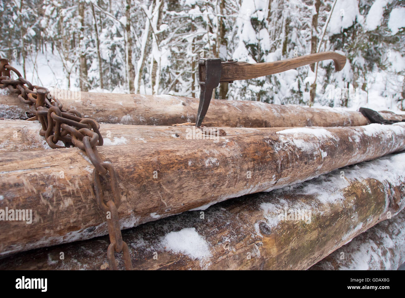 Wood transportation hi-res stock photography and images - Alamy
