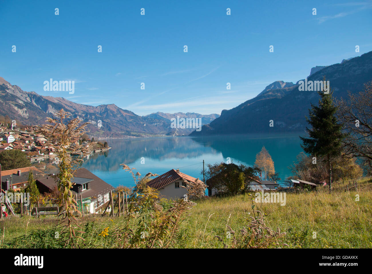 Oberried,autumn,Bernese Oberland,canton Bern,Switzerland,Europe,village ...