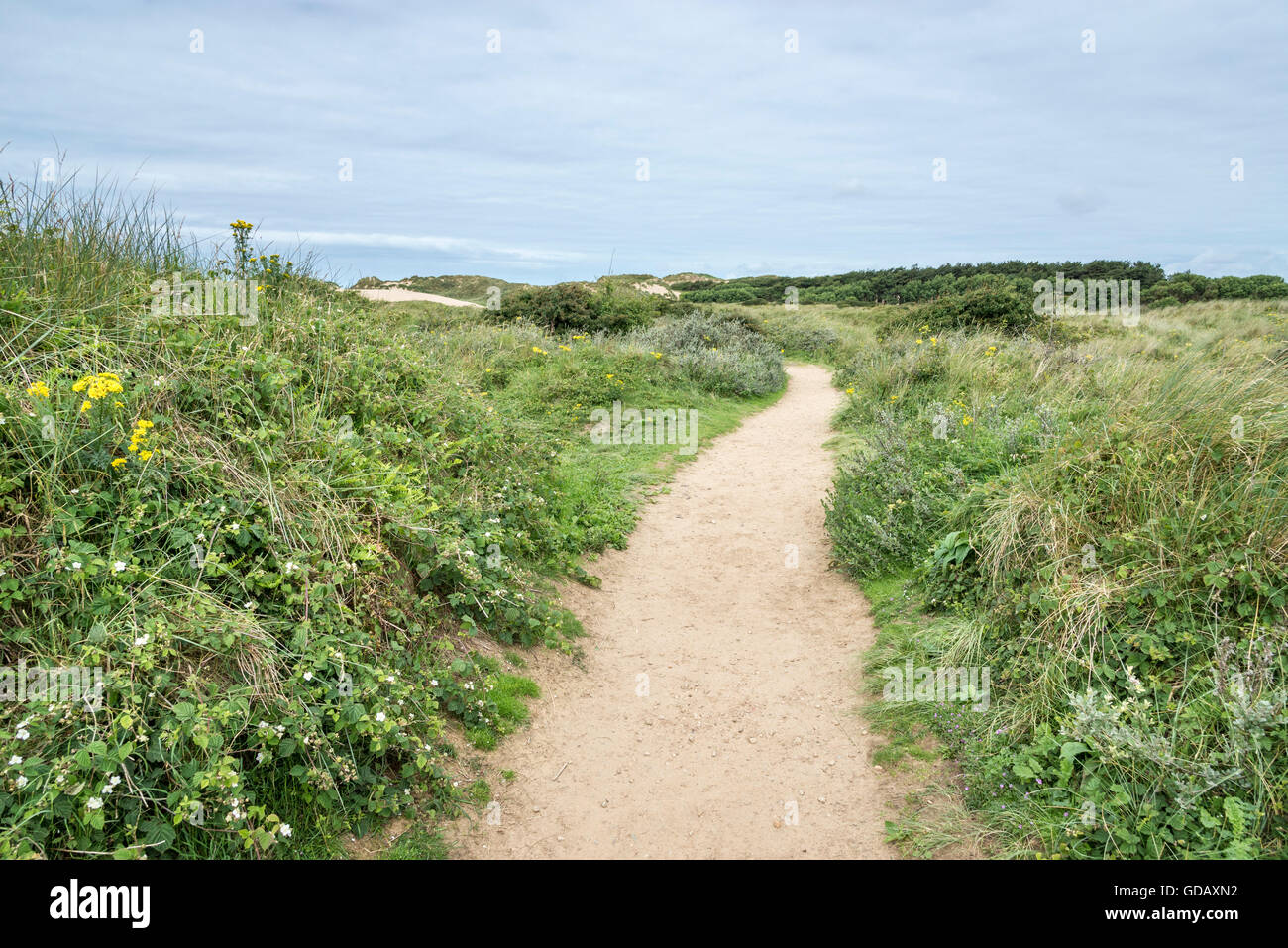 Formby beach merseyside hi-res stock photography and images - Alamy