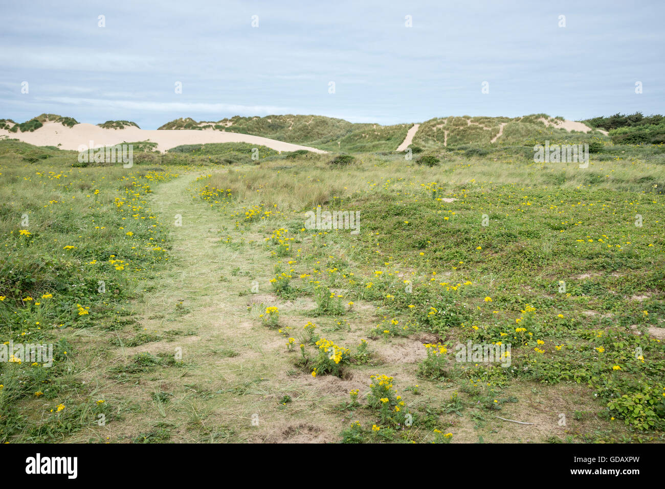Formby point beach hi-res stock photography and images - Alamy