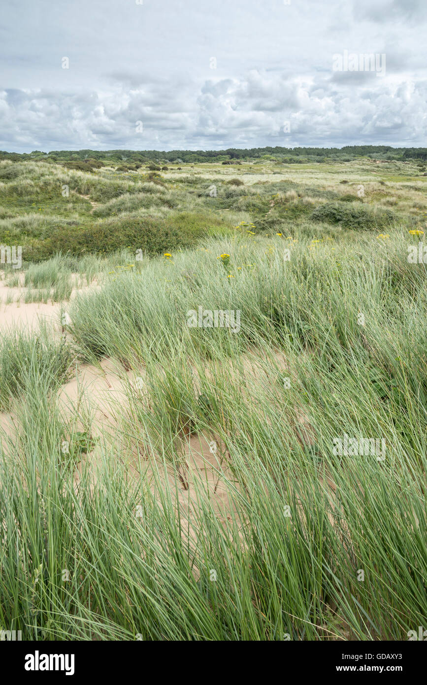 The expansive dunes at Formby point on the coast of Merseyside Stock ...