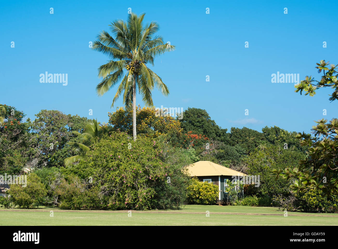 Grove farm hi-res stock photography and images - Alamy