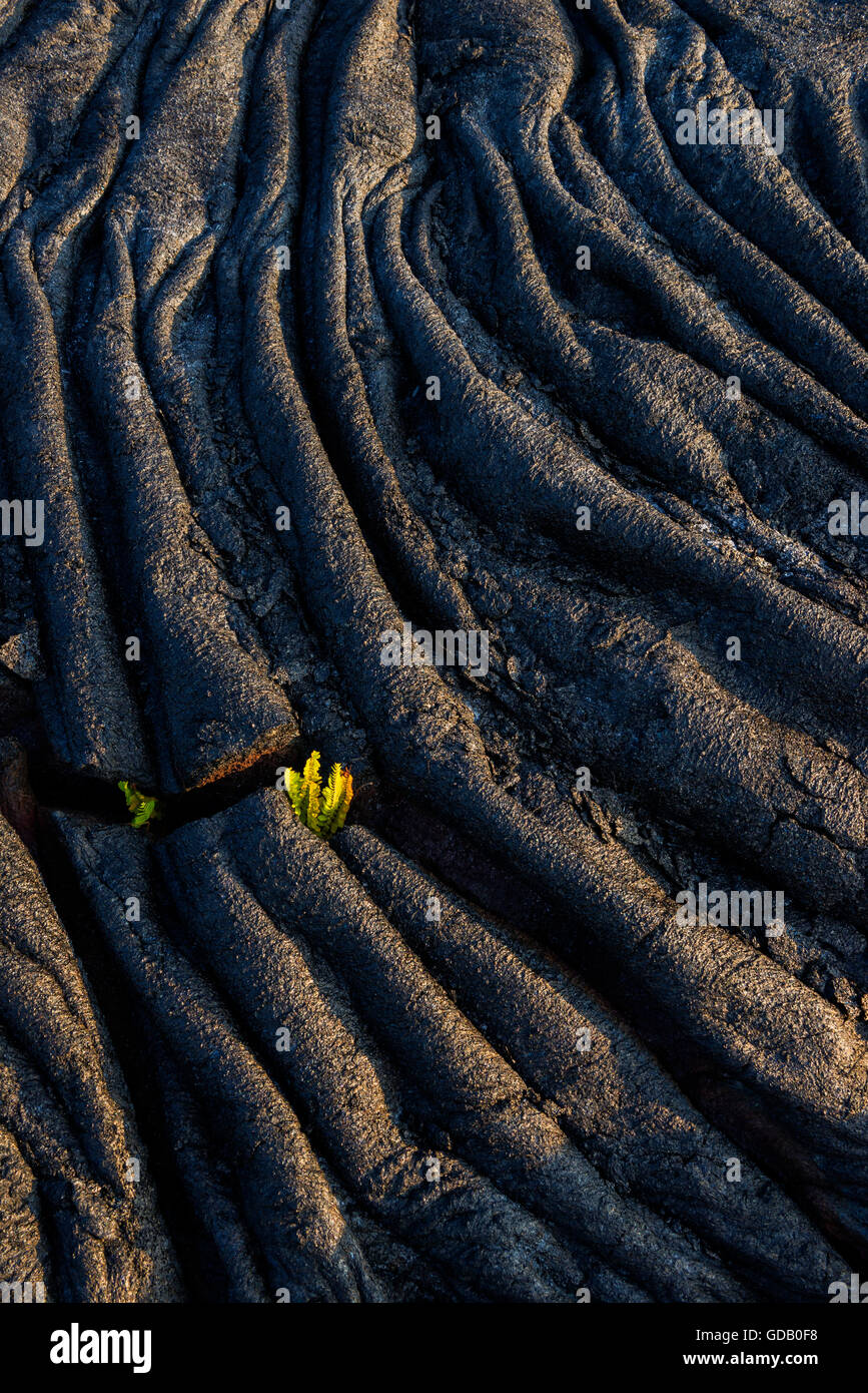 Puna lava flow hi-res stock photography and images - Alamy
