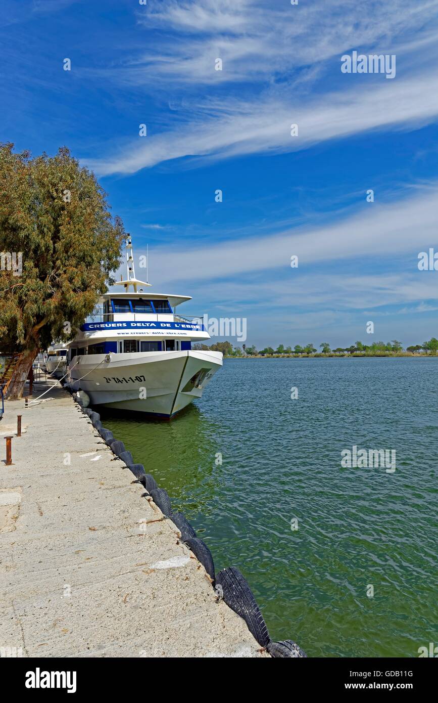 Excursion plants hi-res stock photography and images - Alamy